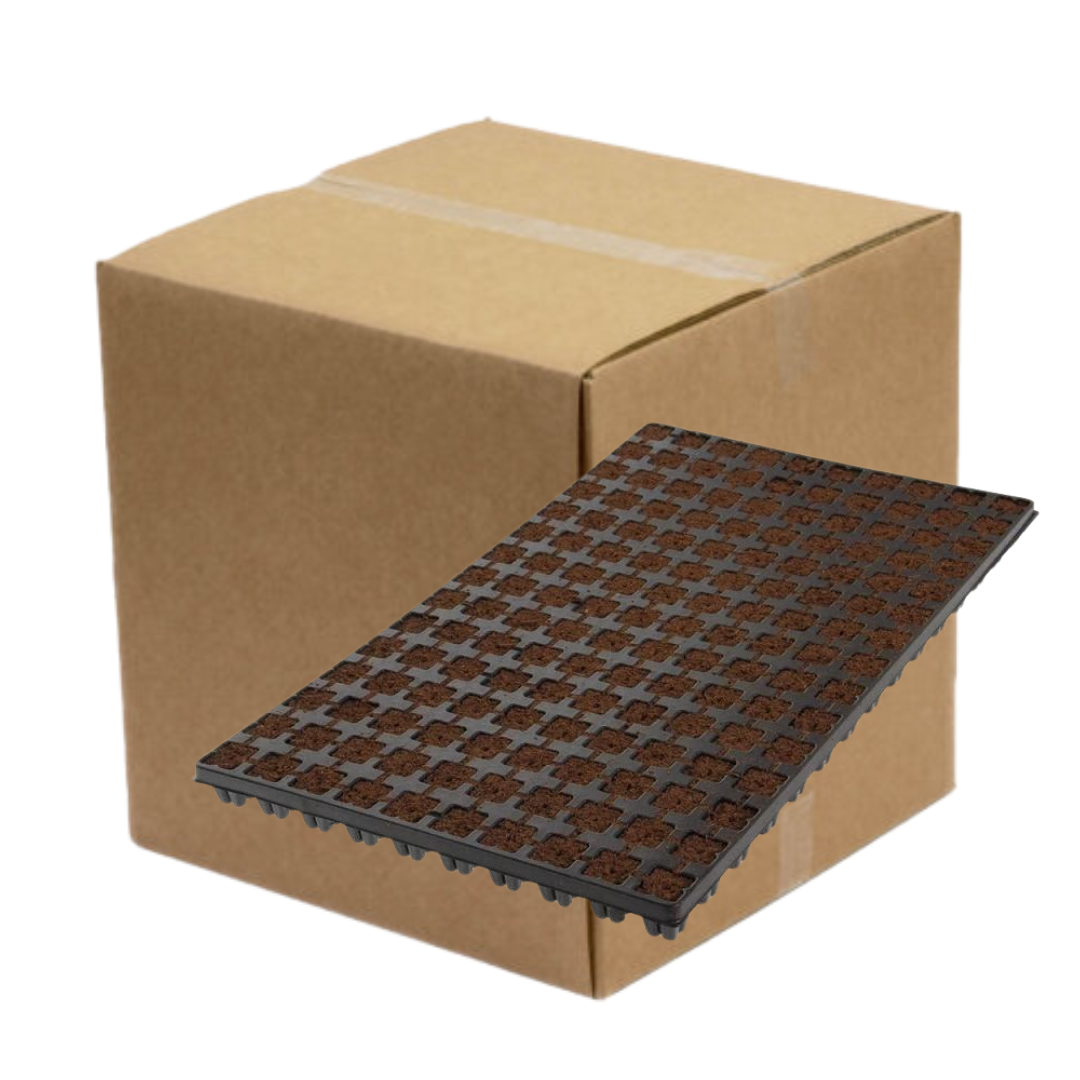 Eazy Plug Organic Propagation Cubes