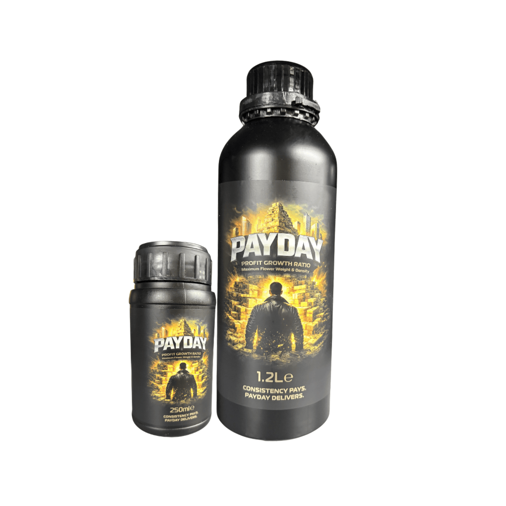 PAYDAY Flower Enhancer USA Bloom Booster for Heavy Flowers