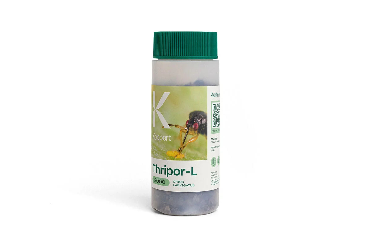 THRIPOR